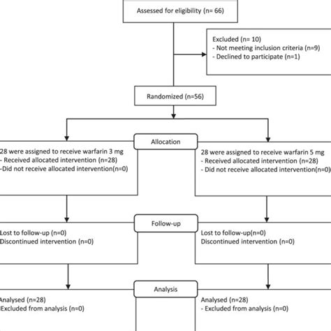 Screening Randomization And Follow Up Download Scientific Diagram