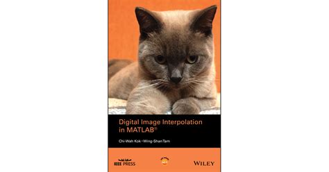 Nomenclature Digital Image Interpolation In Matlab [book]
