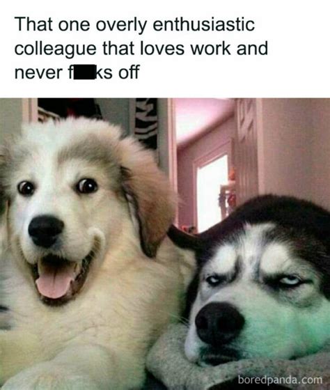 35 Funny Office Jokes And Work Memes That Might Make You Laugh Demilked