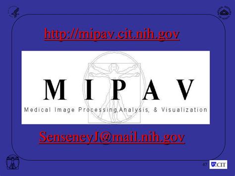 Ppt Mipav Cit Nih Gov Powerpoint Presentation Free Download Id