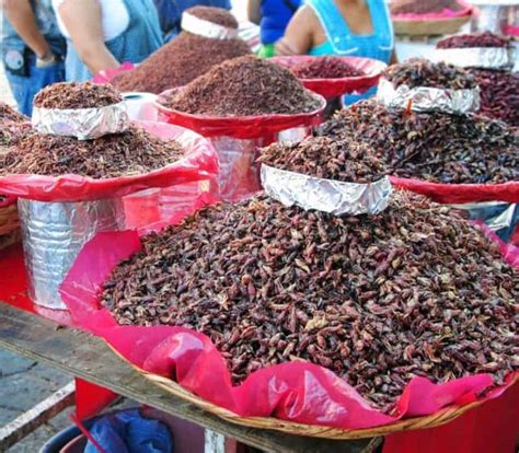 7 Weird Mexican Foods You Need To Try Because Theyre Actually Delicious