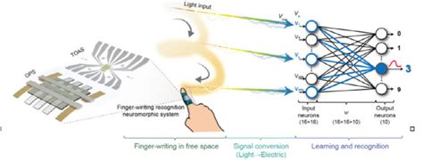 고려대 왕건욱 교수팀 손가락 동작 인식 전자피부 개발 브릿지경제