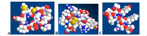 Potential Egf Ligands Energy Minimized By Molecular Dynamics In Download Scientific Diagram