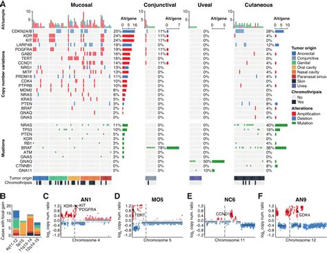 Results From Next Generation Dna Panel Sequencing And Copy Number