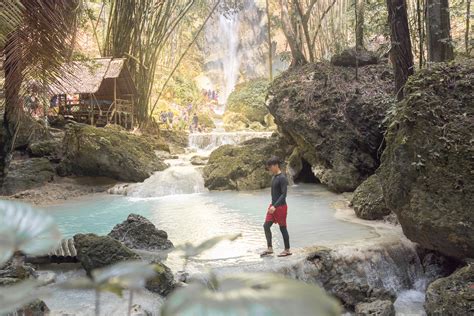세부 로컬페이지 오슬롭 고래상어 And 모알보알 호핑 And 투말록 폭포 투어