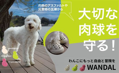 Jp Tomonari 犬用靴 Wandal ワンダル 肉球 保護 火傷 傷 防止 シューズ サンダル 散歩