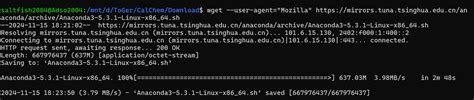 WSL配置Anaconda Adso 的个人博客