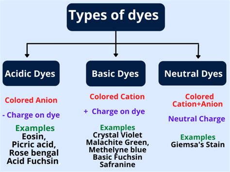 Different Types Of Dyes And Stains In Microbiology RBR Life Science