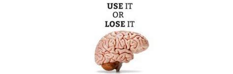 학습과학 새 연재29 수업 설계의 비밀 뇌친화적 전략과 도구 교육을바꾸는사람들