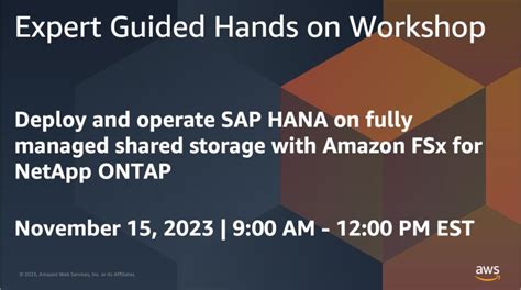 Cesar A Raymundo On Linkedin Aws Netapp Sap Saphana Data