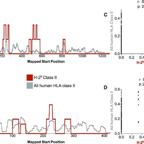 Sars Cov 2 S And N Antigen Immunodominance Patterns For Class Ii