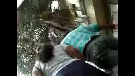 pollera videos xvideos
