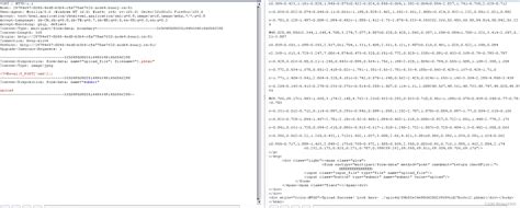 buuctf web [actf2020 新生赛]upload1 buutfc网站 csdn博客