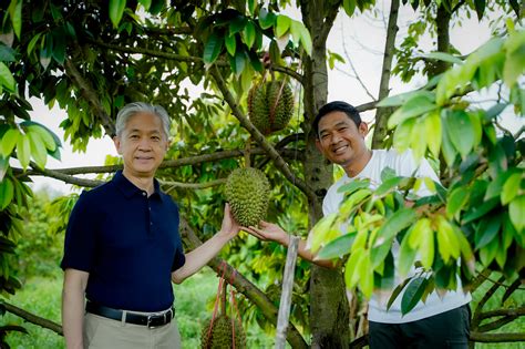 ទូតចិន លោក វ៉ាង វិន ពីន ចាត់ទុកទុរេនខ្មែរ ឪខាក់ ឆ្ងាញ់ជាងគេលើពិភពលោក