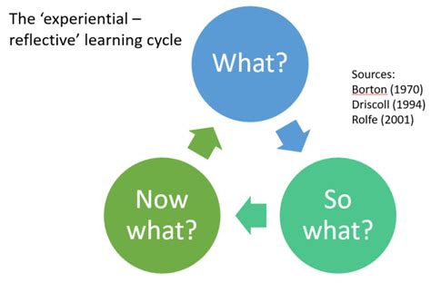 Single Loop Vs Double Loop Learning Squire To The Giants