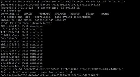 How To Run Docker Containers Inside Another Docker Container Malhar Chikhale Posted On The