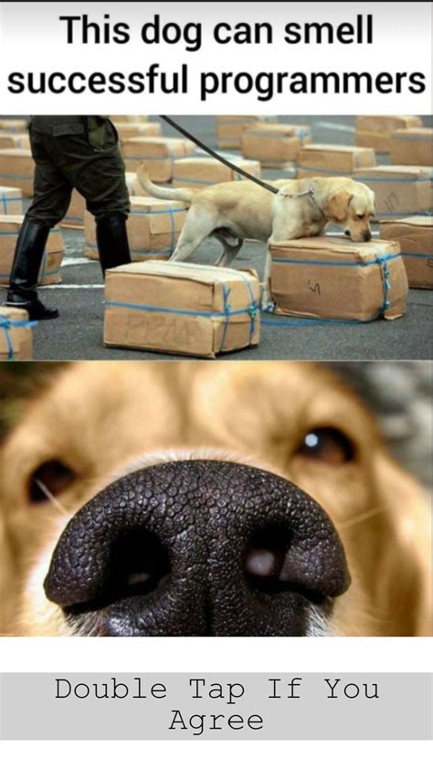 Tahar Ayadi On Linkedin Programming Softwareengineering