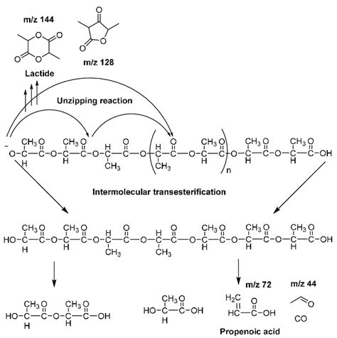 Polylactic Acid Degradation