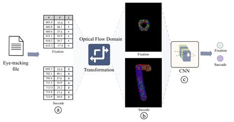 GitHub Ssalazarcolores Identification Of Eye Movements Events Using Optical Flow And Deep