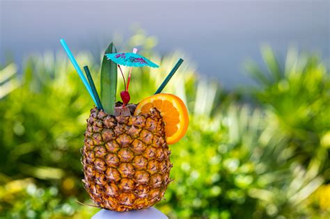 여름 방학 및 칵테일 바 신선한 알코올 파인애플 칵테일 여름의 알코올 칵테일 피나 콜라다 칵테일 파인애플 음료 0명에 대한 스톡 사진 및 기타 이미지 Istock
