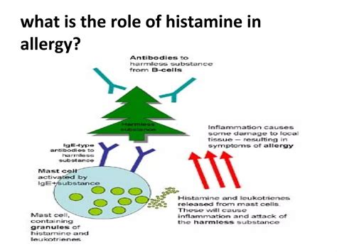 Antihistamine Ppt