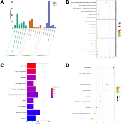 Functional Enrichment Analysis Of Differentially Expression Genes A