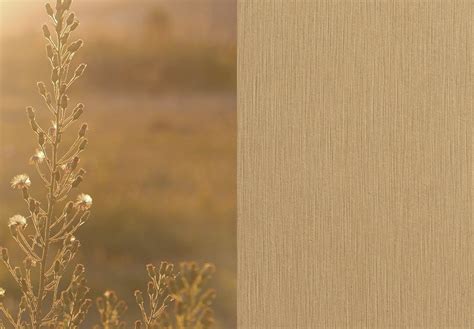 Inspired By Nature Equitone