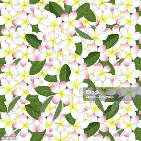 플루메리아 원활한 패턴 화이트 핑크 옐로우 플라워 그린 잎 아트 디자인 요소 손 그리기 스톡 벡터 일러스트 0명에 대한 스톡 벡터 아트 및 기타 이미지 Istock