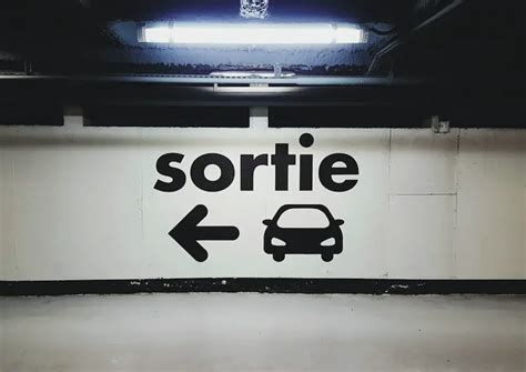 how to learn any language on your own step by step guide pick the