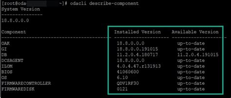 Step By Step Apply Patch Oda X7 2m From 18 3 To 18 8 Dbsguru
