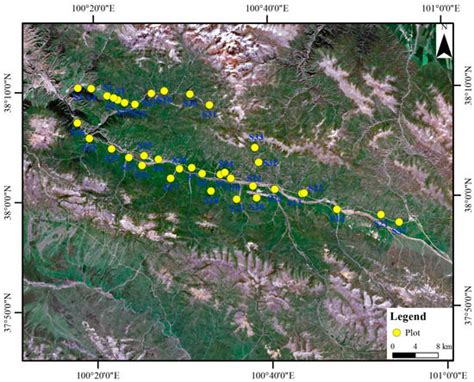Mapping the Invasive Species Stellera chamaejasme in Alpine Grasslands ...