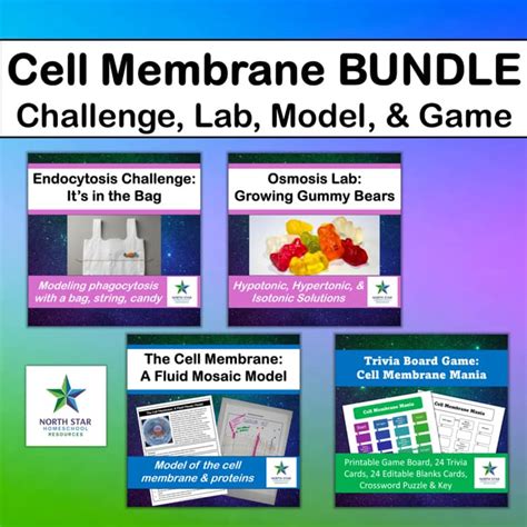 Bundle Cell Membrane Transport Osmosis Lab Model Game High School Biology