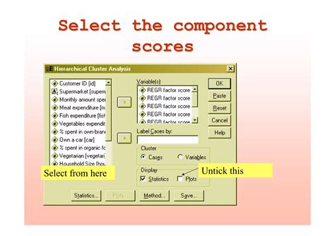 spss tutorial cluster analysis pdf science