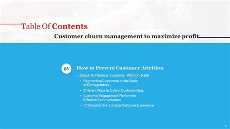 Customer Churn Management To Maximize Profit Powerpoint Presentation Slides Ppt Slide