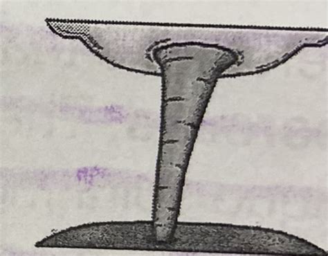Tornado Quiz Flashcards Quizlet