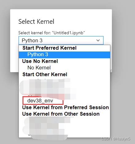 将 conda 虚拟环境 env 加入 jupyter kernel_python -m ipykernel install-CSDN博客