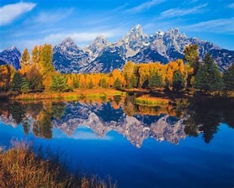 Wyoming Land Of Wild And Free Letterpile