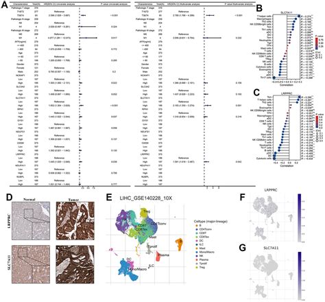 Identification And Characterization Of A Novel Molecular Classification Based On Disulfidptosis