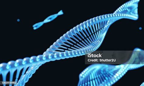 검은 배경에 블루 나선 Dna 염색체 유전자 변형 과학 및 의료 개념 3d 일러스트 렌더링 0명에 대한 스톡 사진 및 기타 이미지 Istock