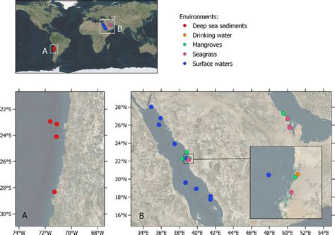 Environmental Samples Locations Download Scientific Diagram