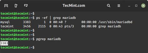 如何使用 Kill、pkill 和 Killall 终止 Linux 进程 0x资讯