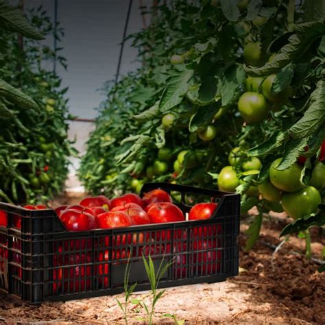 Roberto Esqueda On Linkedin Productos Reciclacel