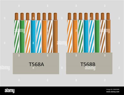 Utp Cabling Standards Vector Illustration Stock Vector Image And Art Alamy