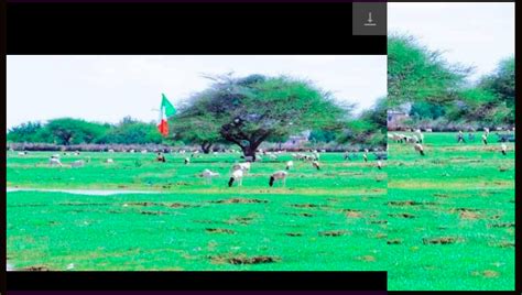 Shouldn T Lightgallery REPLACE The Images Sachinchoolur LightGallery Discussion GitHub