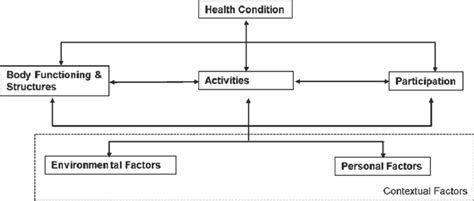 The Icf Framework Of Functioning Disability And Health Download