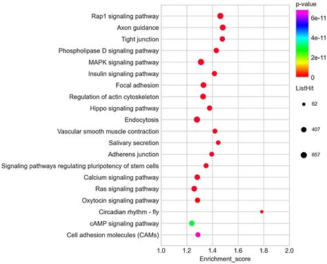 Frontiers Mirna Profiling In Intrauterine Exosomes Of Pregnant Cattle On Day 7