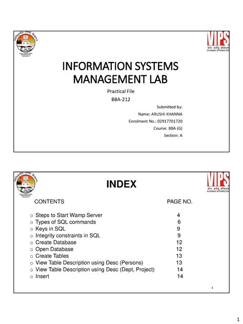ism file ism lab file information systems management lab practical