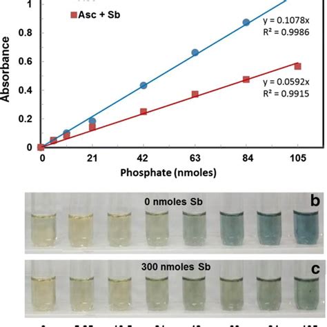 Optimal Concentrations Of The Ammonium Molybdate And Ascorbic Acid