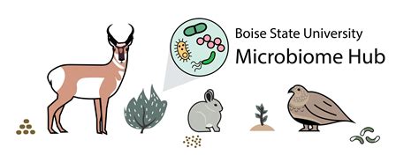 welcome to the microbiome hub