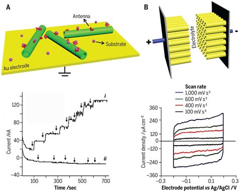Self Assembling Peptide Semiconductors Science